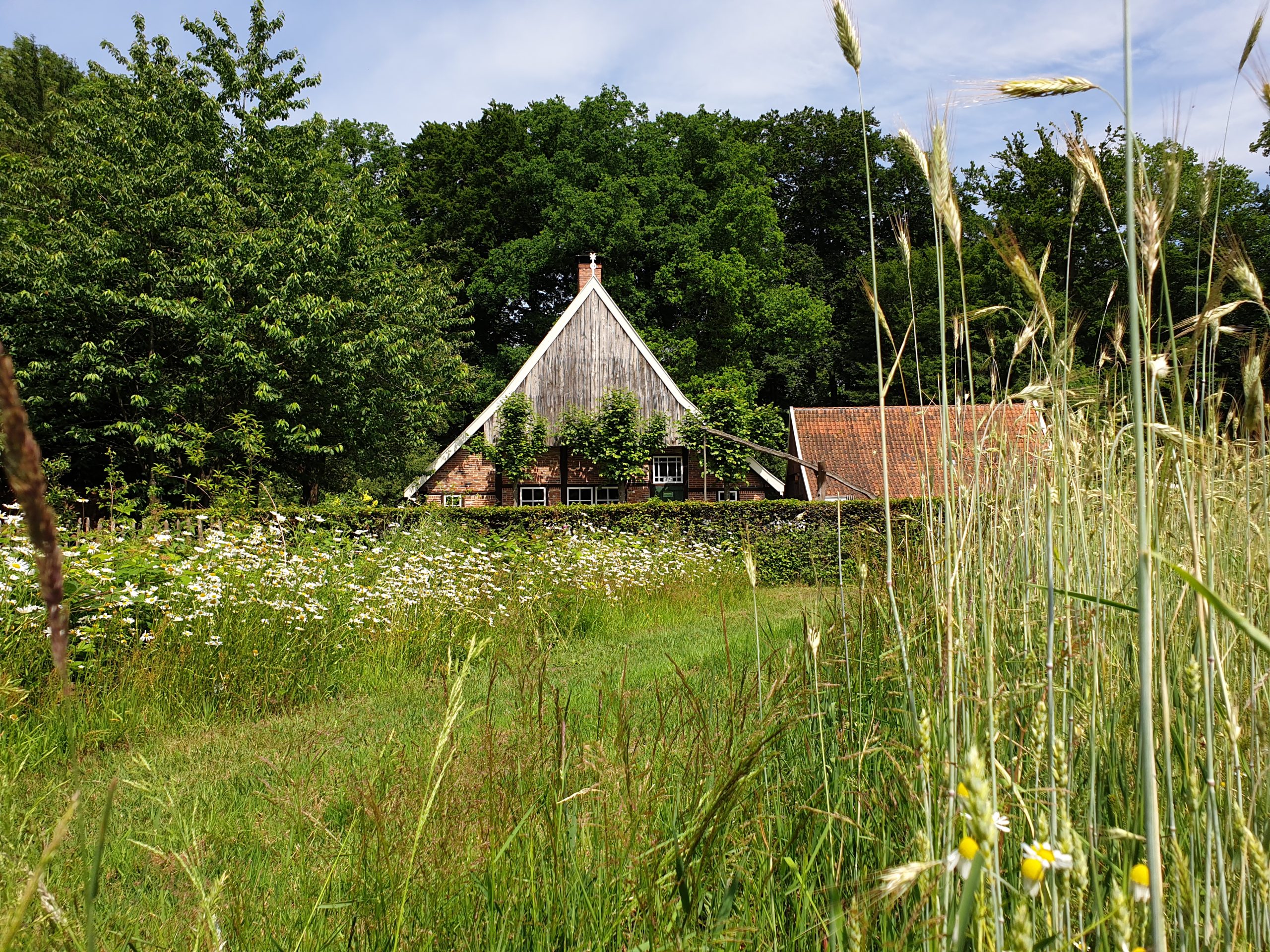 Het Wageler: Onder en boven het maaiveld! - IVN