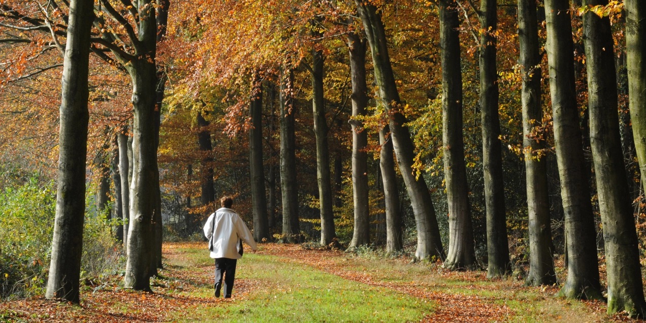 Historische wandeling op Groot Brunink (LO & IVN) - Enschede