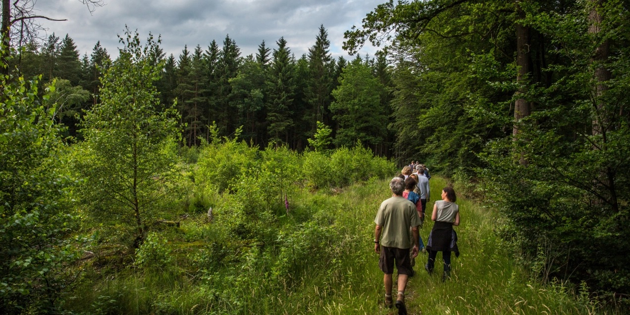 Zomeravondwandeling Lonnekerberg - IVN