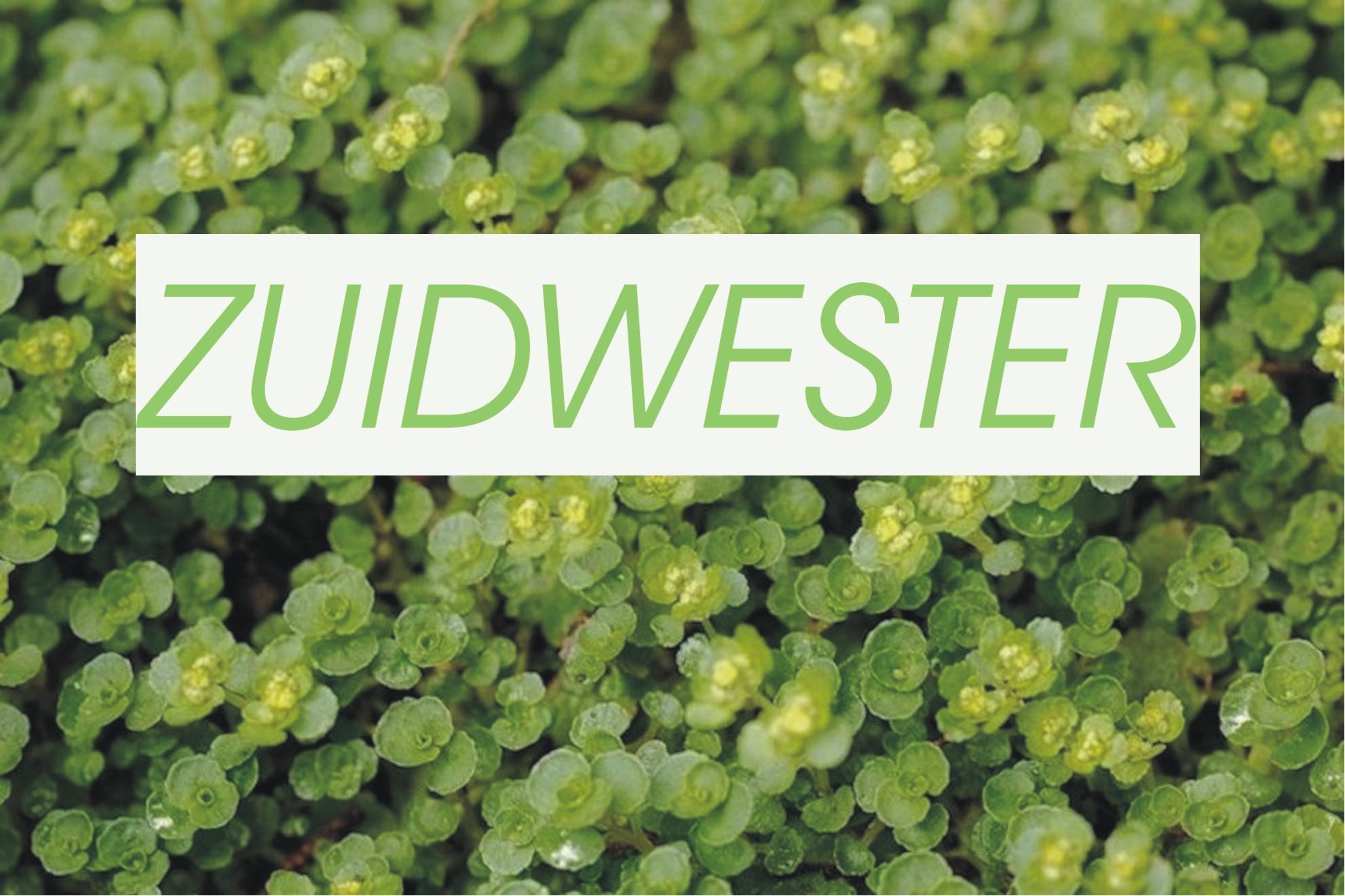 Zuidwester Voorjaar 2018 URL's extra info - Zuidwest Veluwezoom