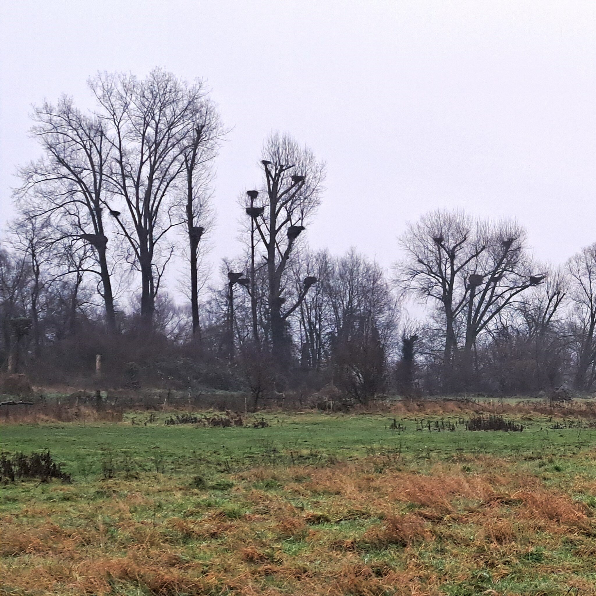 Van woeste grond naar cultuurlandschap - VOL - IVN