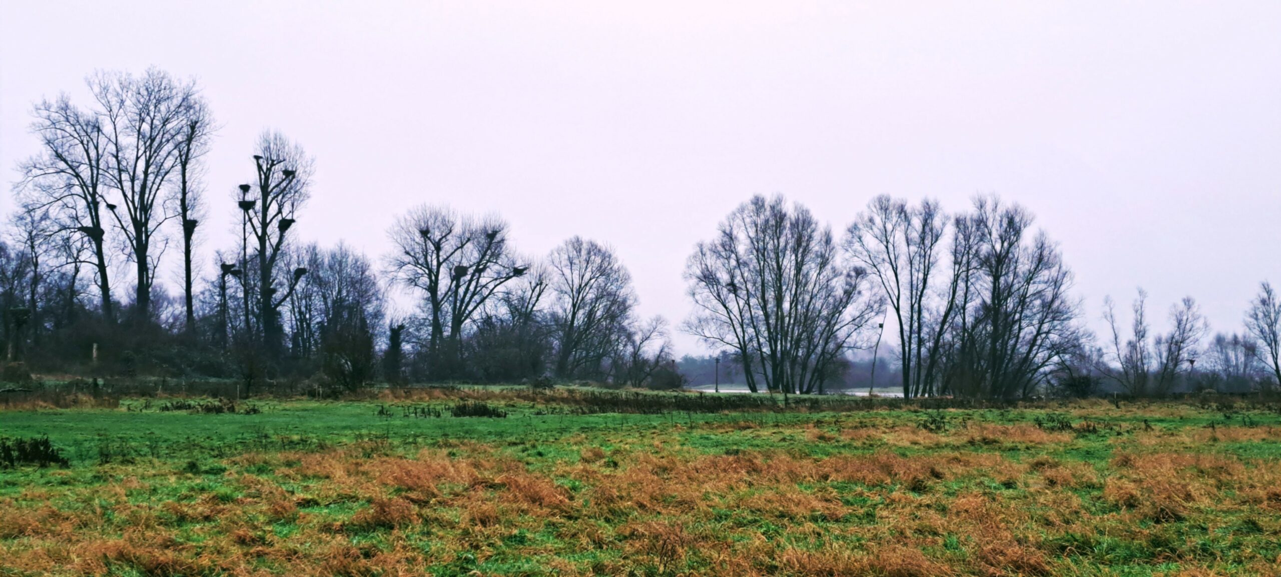 Nieuwe natuurcursus - VOL - IVN