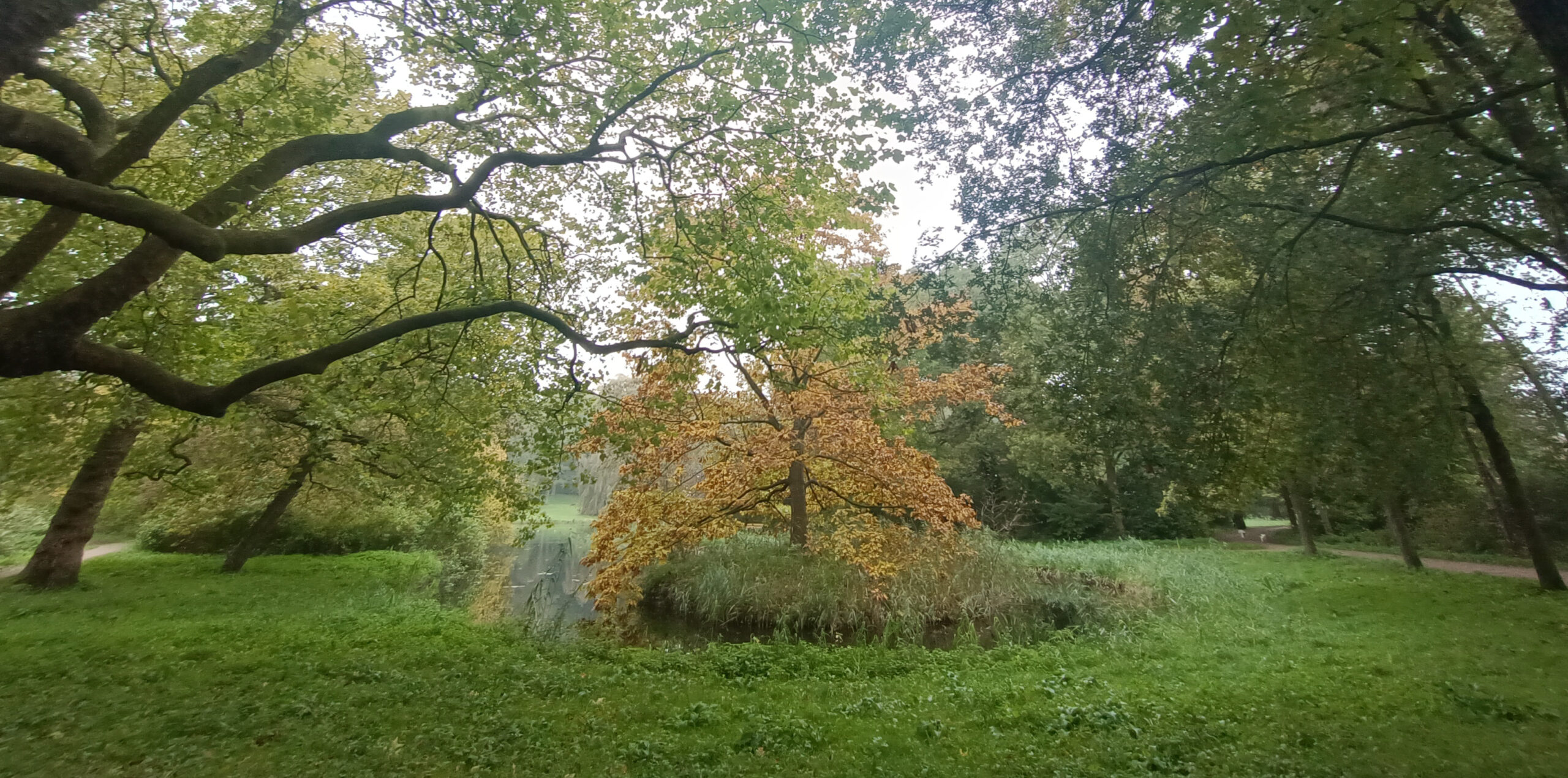 Engelse Werk: oude vestingen en nieuwe natuur - Zwolle