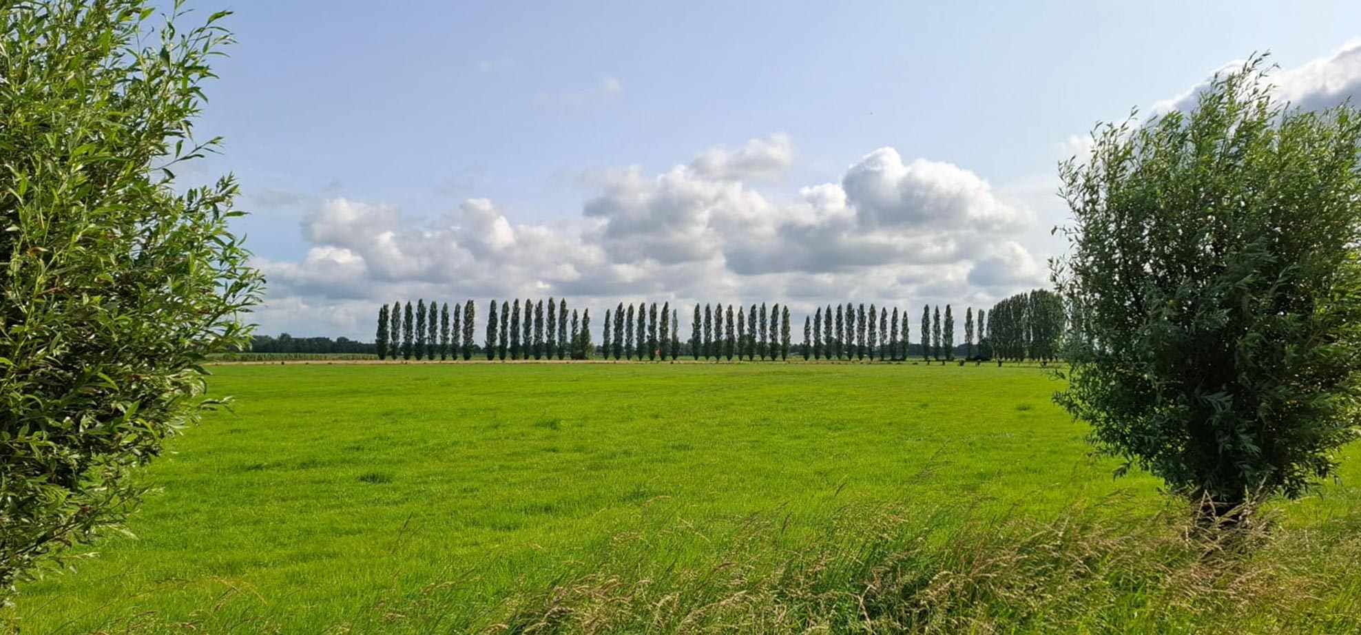 Helmhorst: groene parel tussen Berkum en Isala - IVN