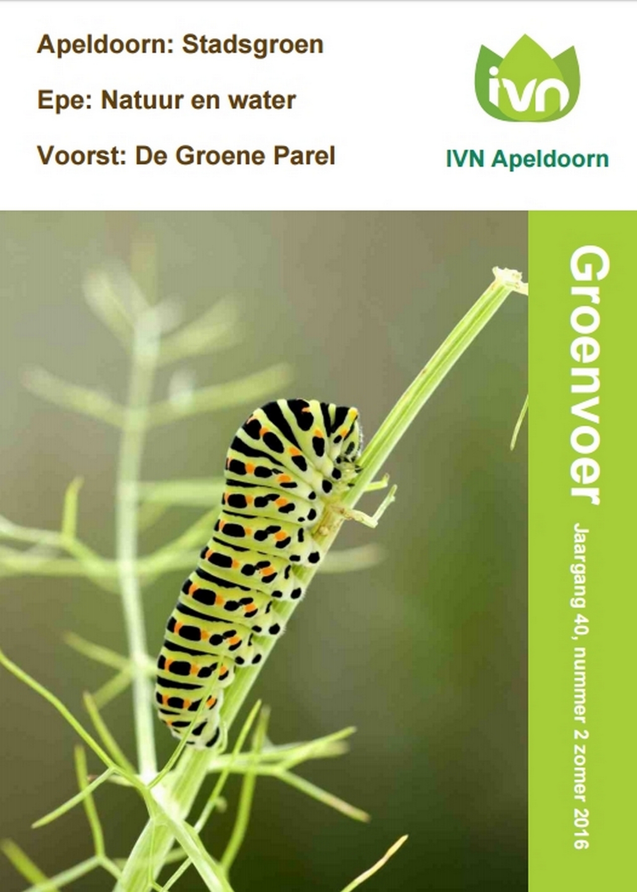 Groenvoer - Apeldoorn