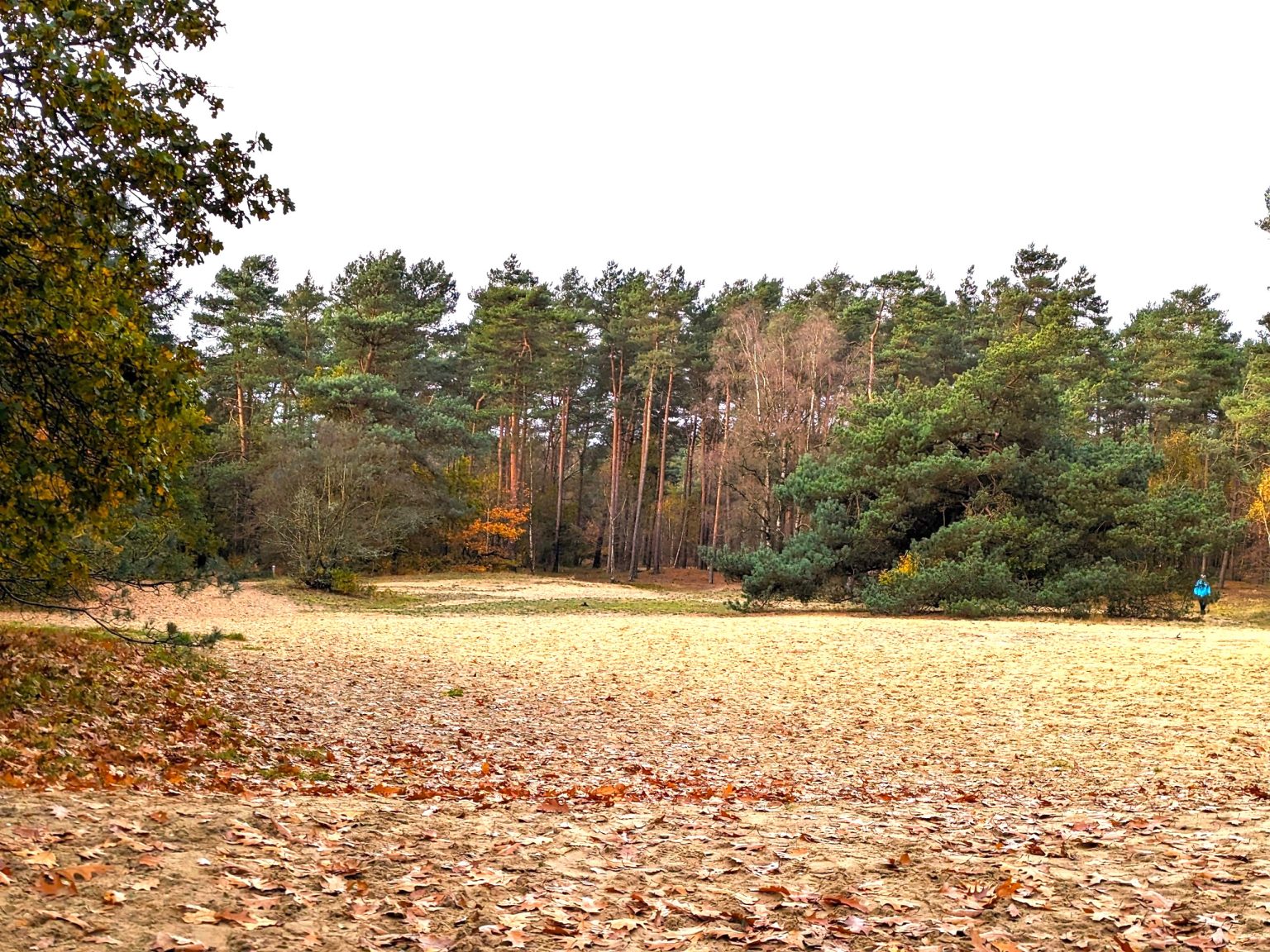 Miggelenberg - Het Leesten - IVN