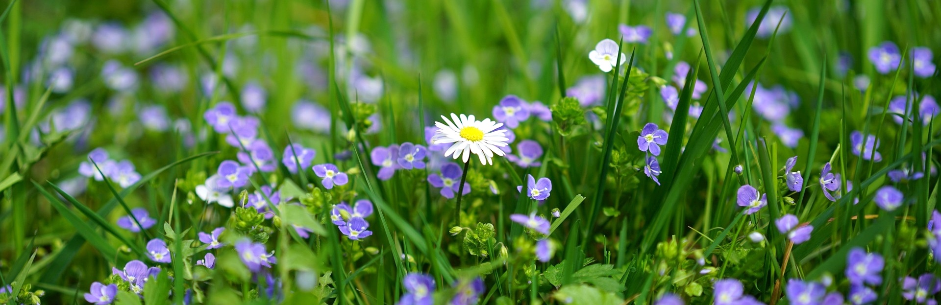 Home - Veenendaal-Rhenen
