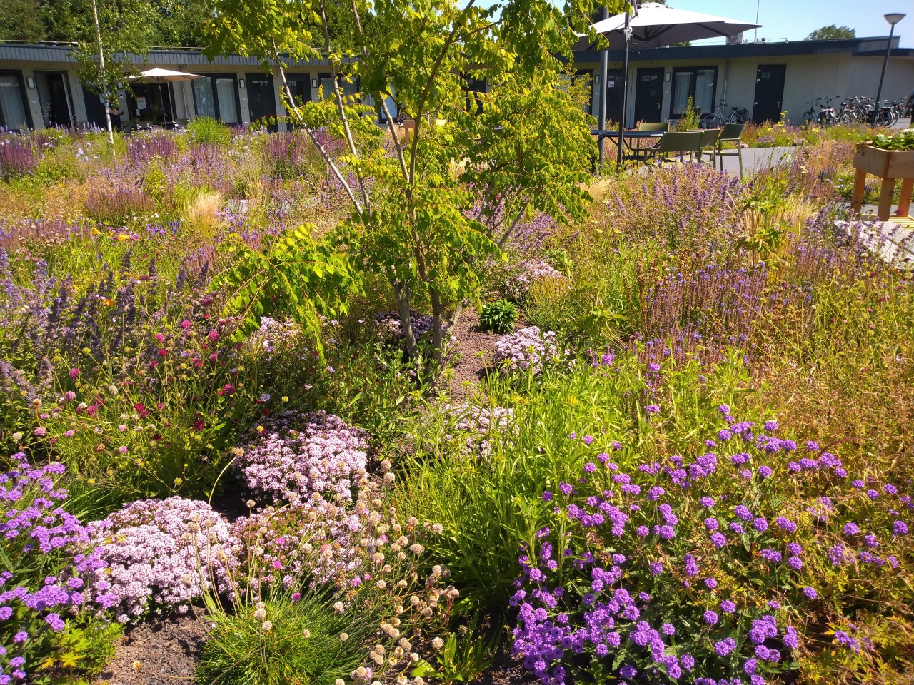 Meer verbinding met de natuur bij Youz door challenges en vergroening ...