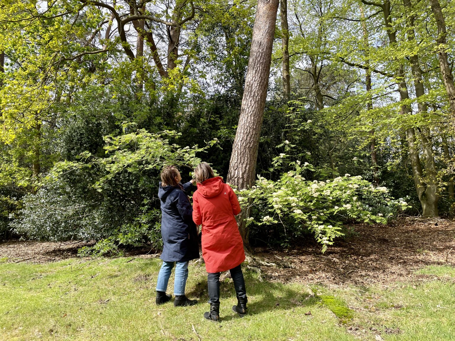 Meer verbinding met de natuur bij Youz door challenges en vergroening ...