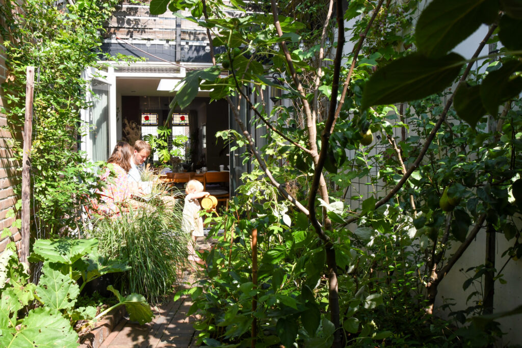 Oplossingen voor meer groen in de tuin en straat - IVN