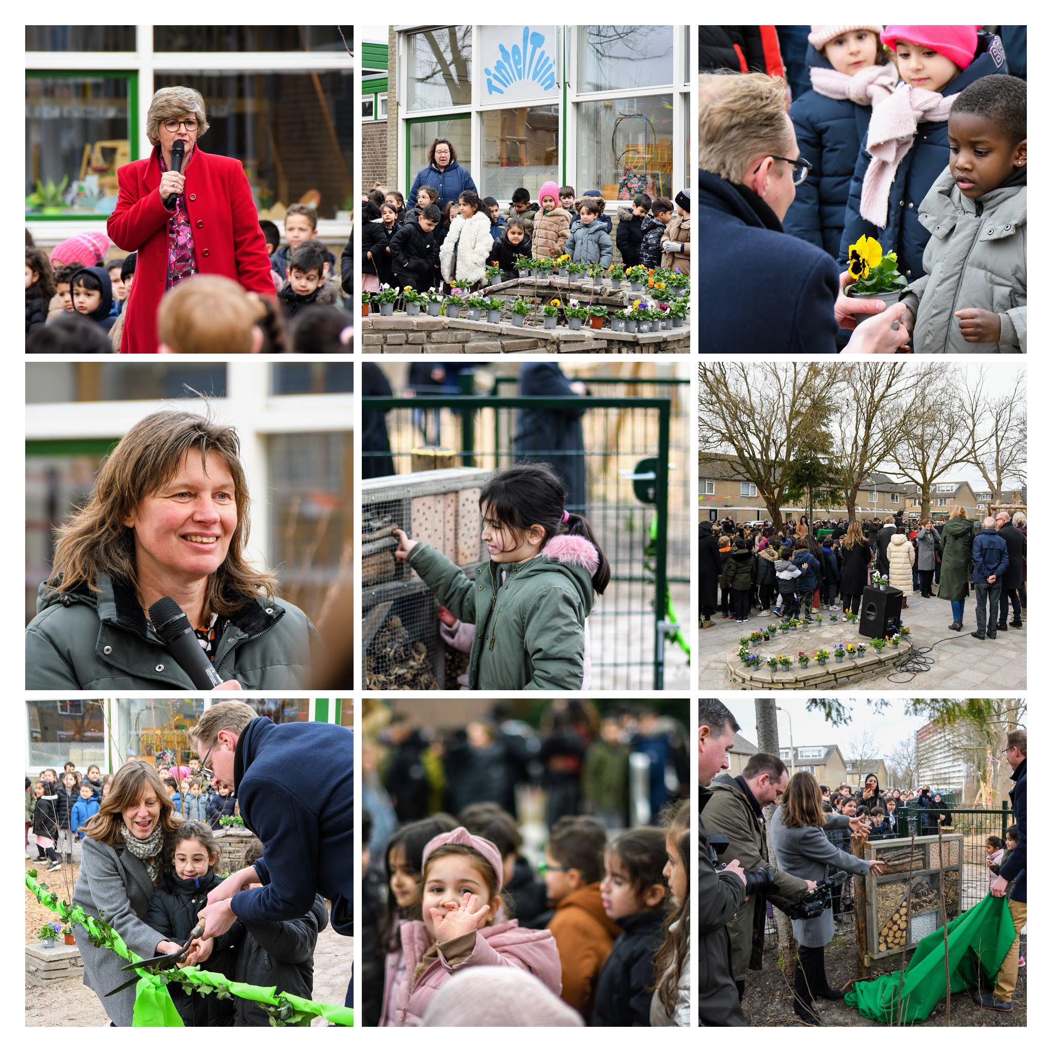 Leerlingen van basisschool de Windroos in Zaandam openen groen ...