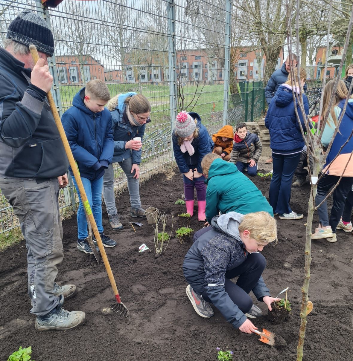 Leerlingen van Basisschool de Sprankel planten hun eigen Voedselbosje - Overijssel