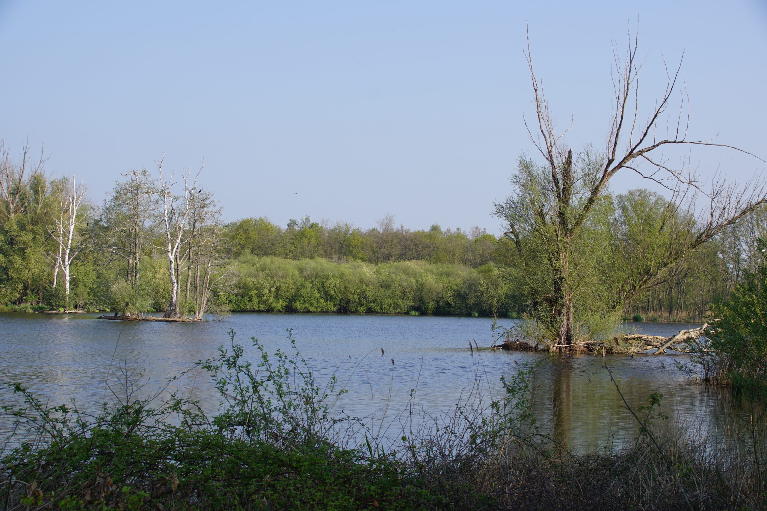 Fietsen en wandelen: waterplas De IJzeren man Geldrop - Mierlo
