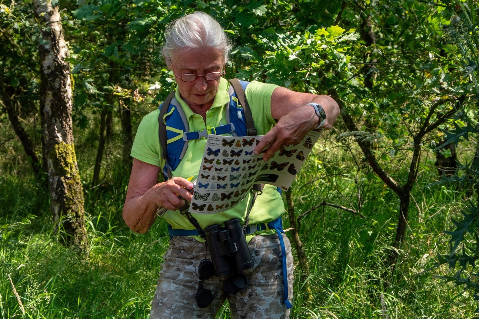 GEANNULEERD - Informatieavond IVN Natuurgidsenopleiding 2026-2027 - IVN