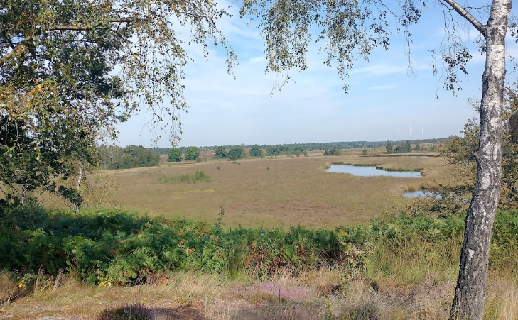 Geologische excursie "Op de Hamert" - Munster Geleen Sittard