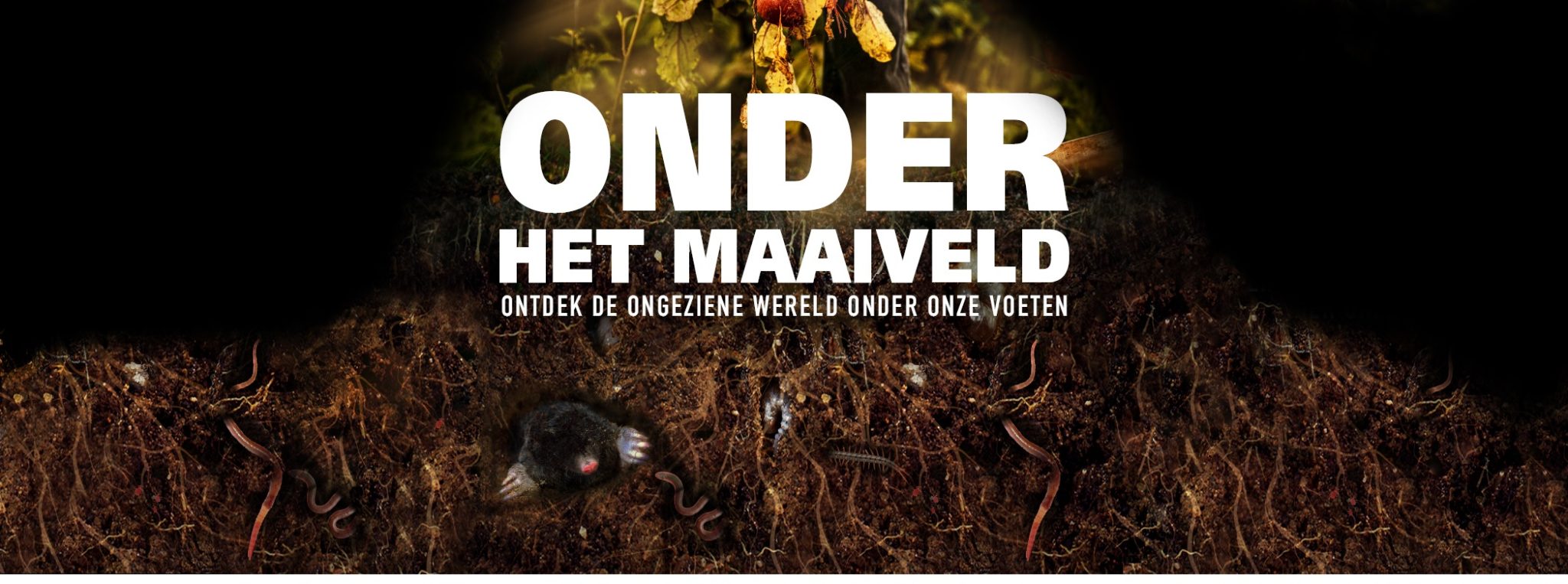 16 april 2024 Film Onder het Maaiveld - IVN