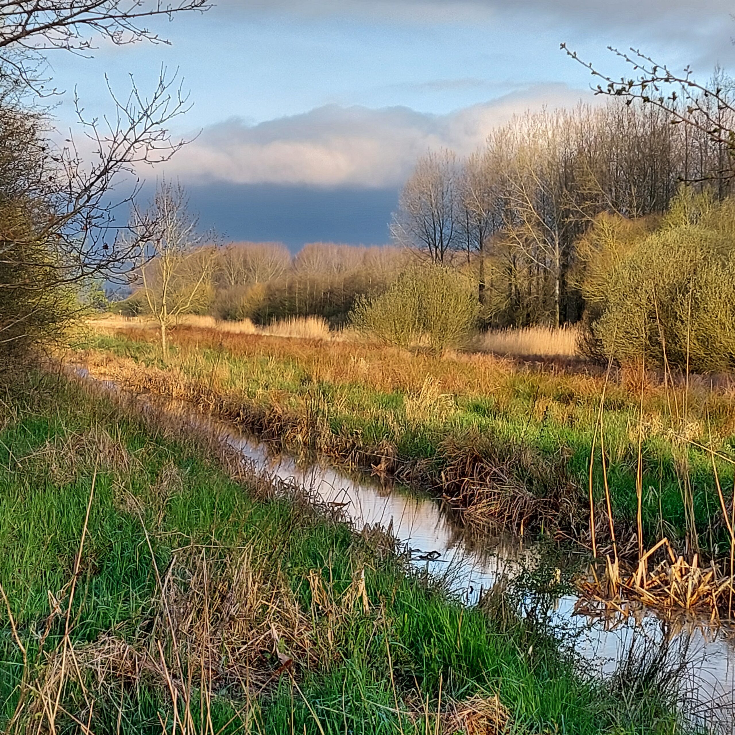 Excursie rondje groen Houten - Nieuwegein-IJsselstein e.o.