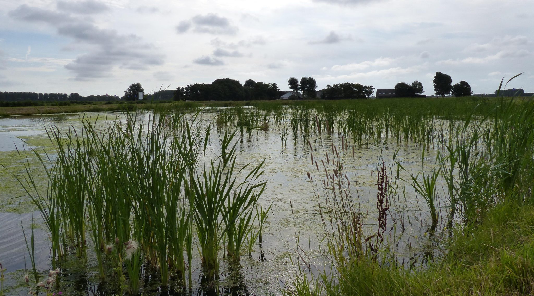 Wandeling Geestmerambacht* - Noord-Kennemerland