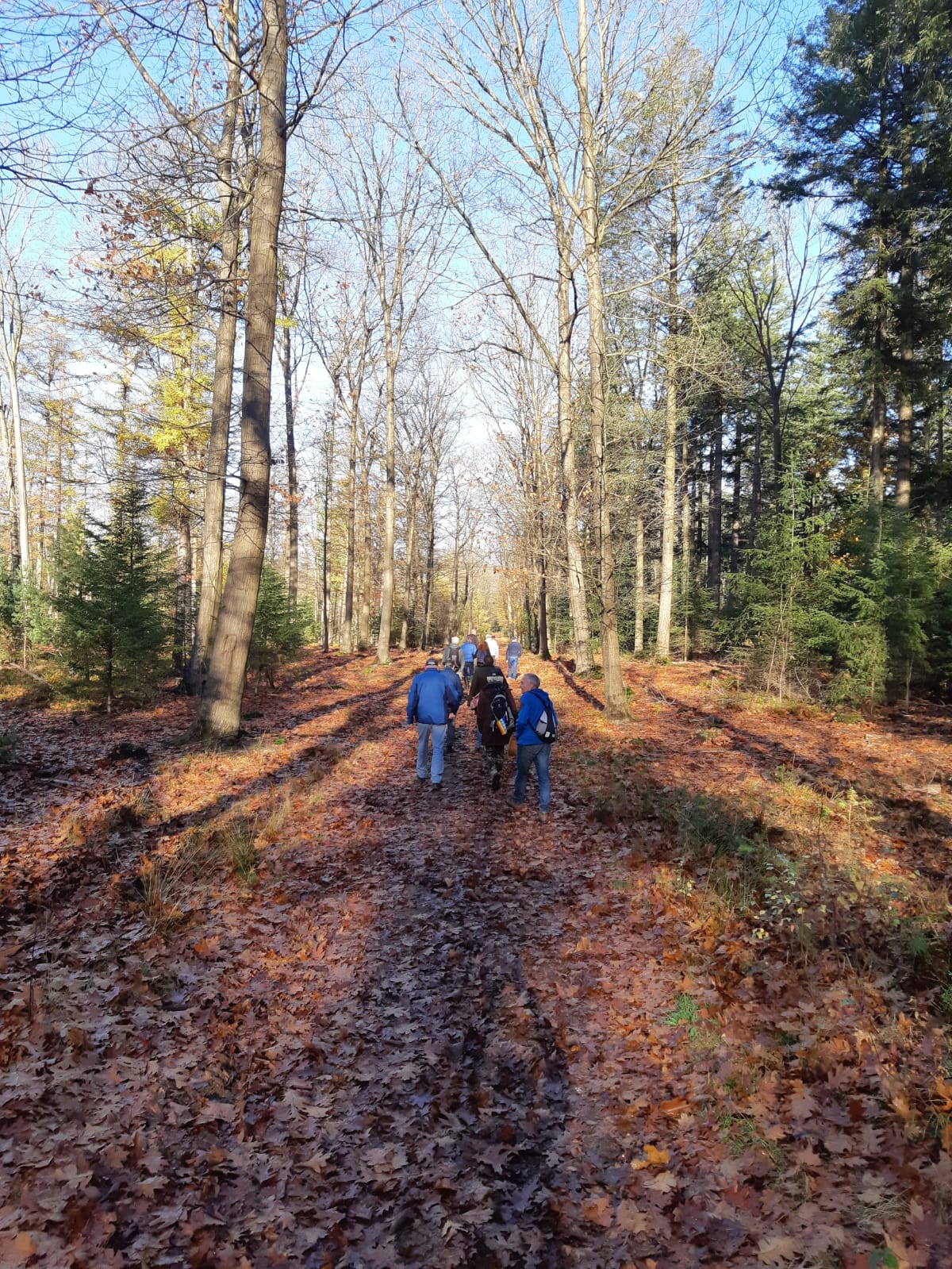 Wandeling Dassenberg Kroondomein - IVN