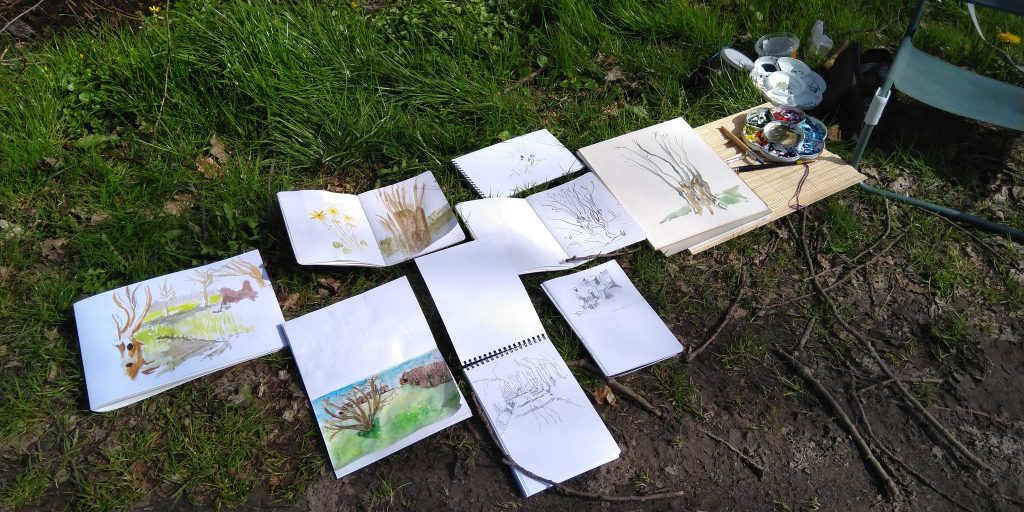 Natuur schetsen in Noordwest-Overijssel in 2023 - Noordwest-Overijssel