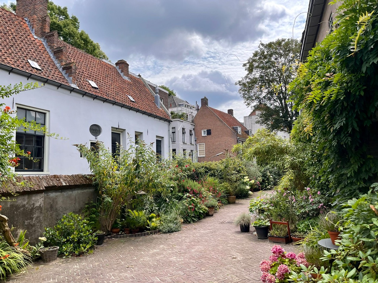 Natuurexcursie: Verwondering in de groene stad - Rijk van Nijmegen
