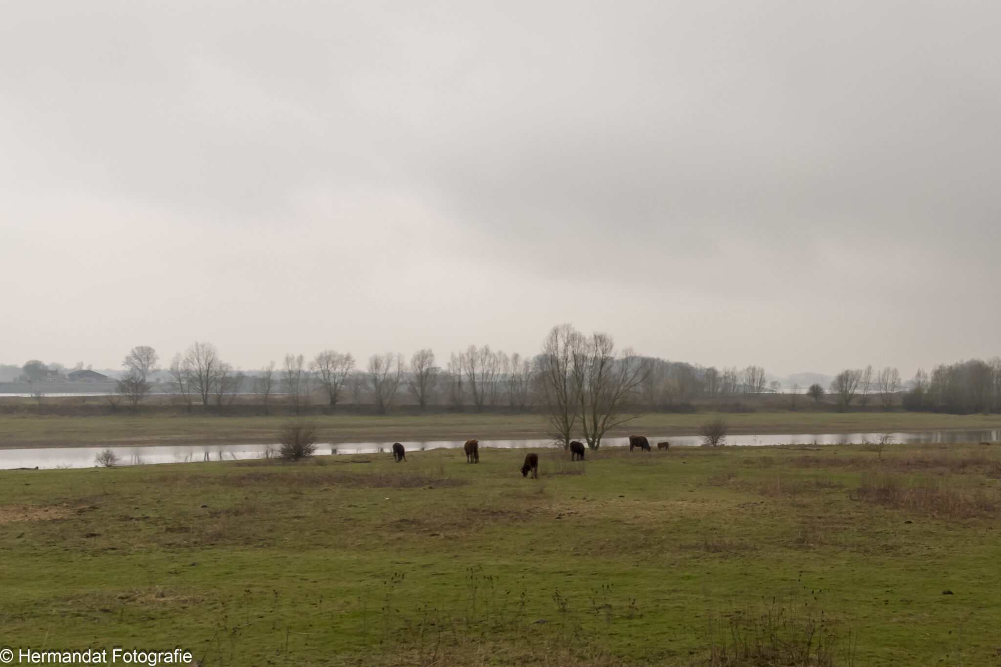 Struinexcursie in de Klompenwaard - Rijnwaal
