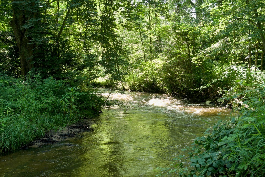 Jeugdtocht "ontdek de Swalm" - Roermond e.o.