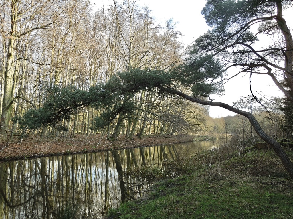 Kralingse Bos (en Plas) - Rotterdam en omstreken