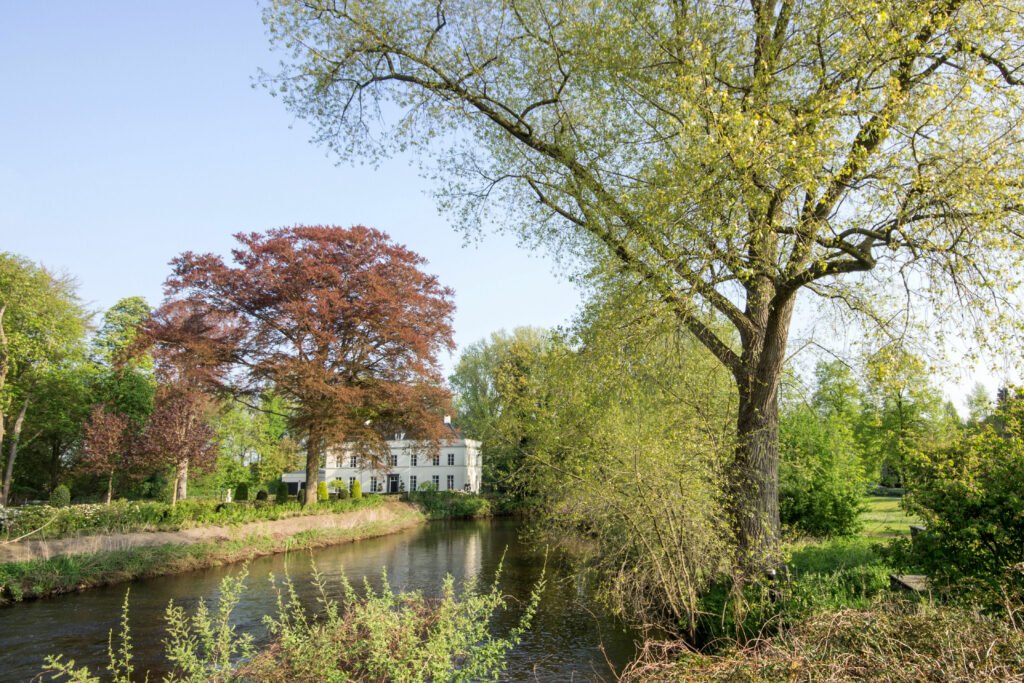 Fiets- en wandeltocht langs bijzondere bomen in Sint-Oedenrode - IVN