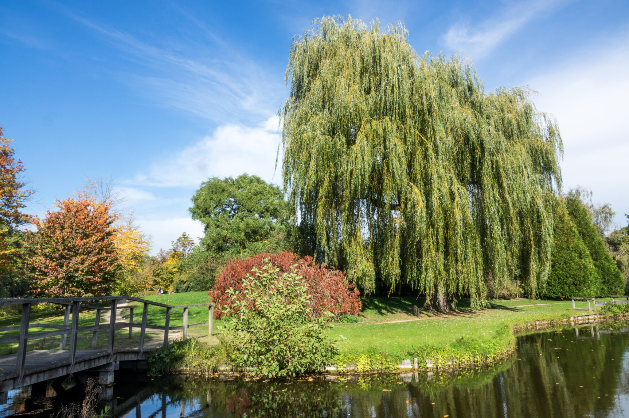 Kuieren in en om het Kienehoefpark - IVN