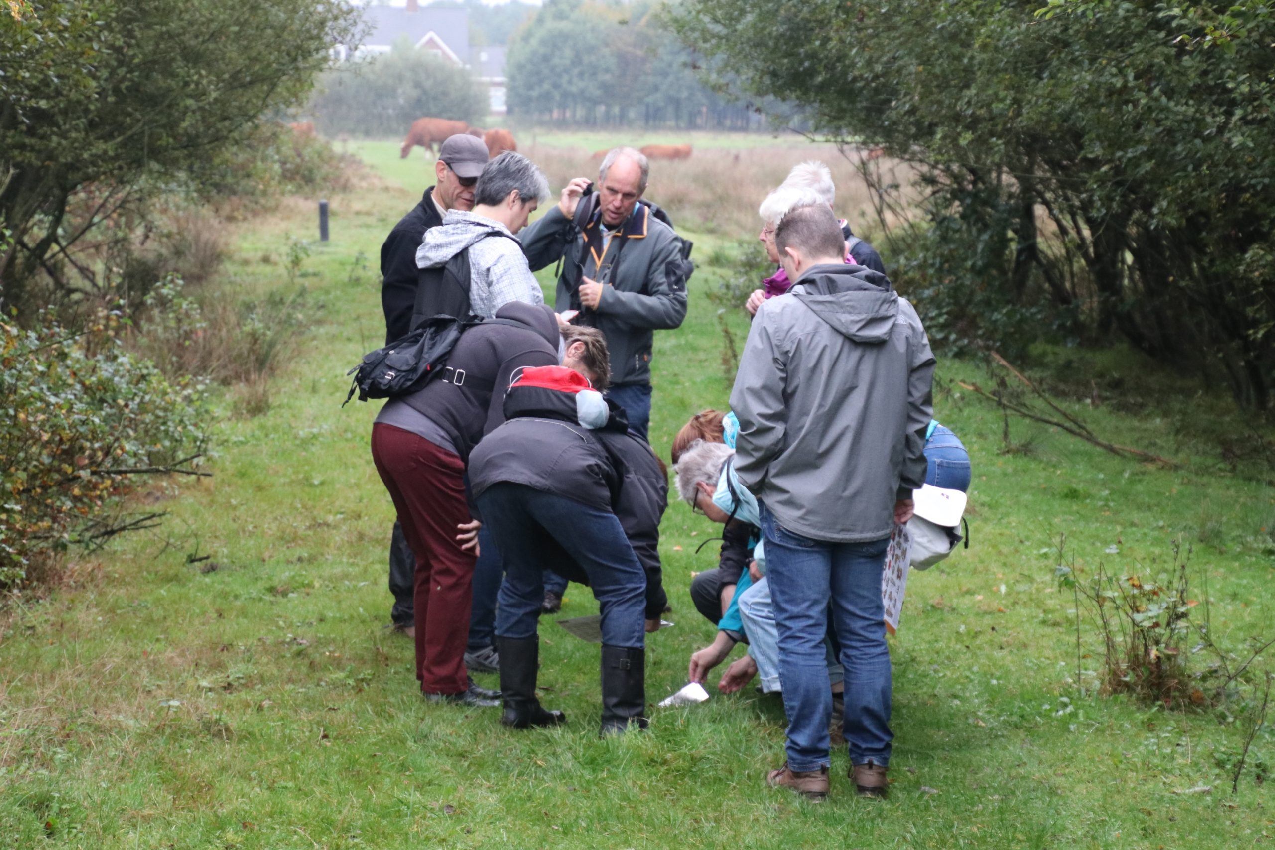Leden wandeling - Son en Breugel