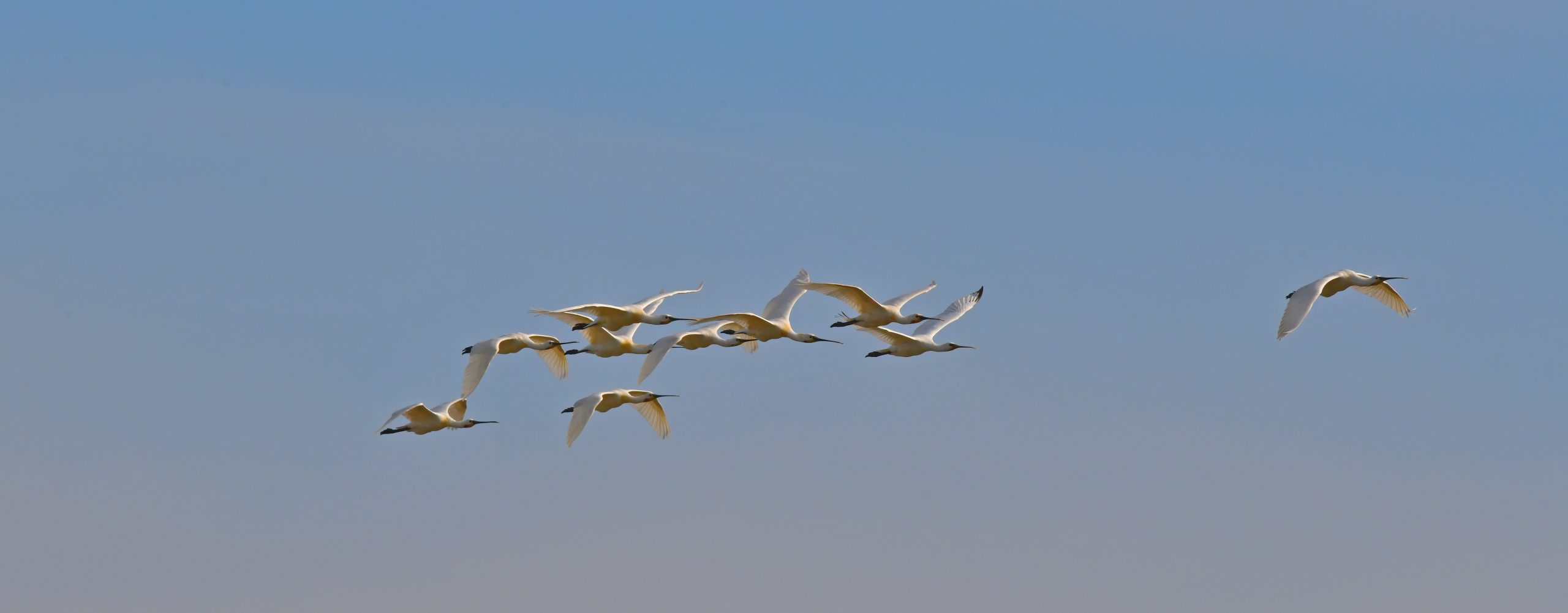 Leren over de Texelse natuur - Texel