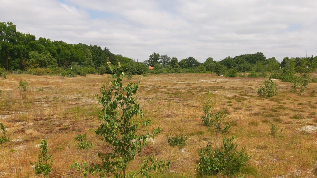 Avondwandeling Landschapspark A50 en Stadsweide - IVN