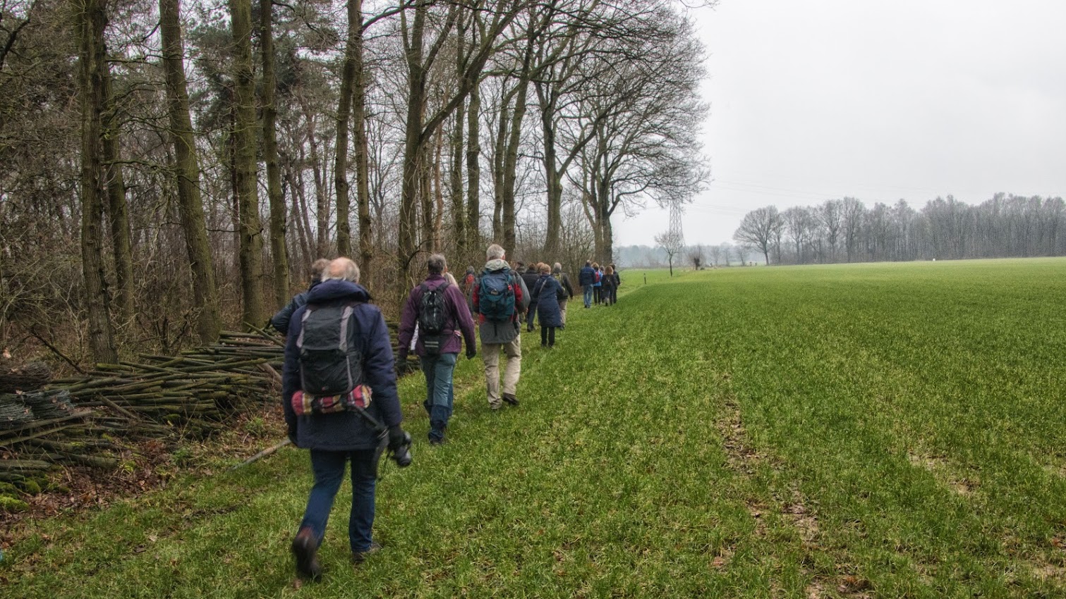 Met IVN Uden kriskras over de Maashorst - IVN