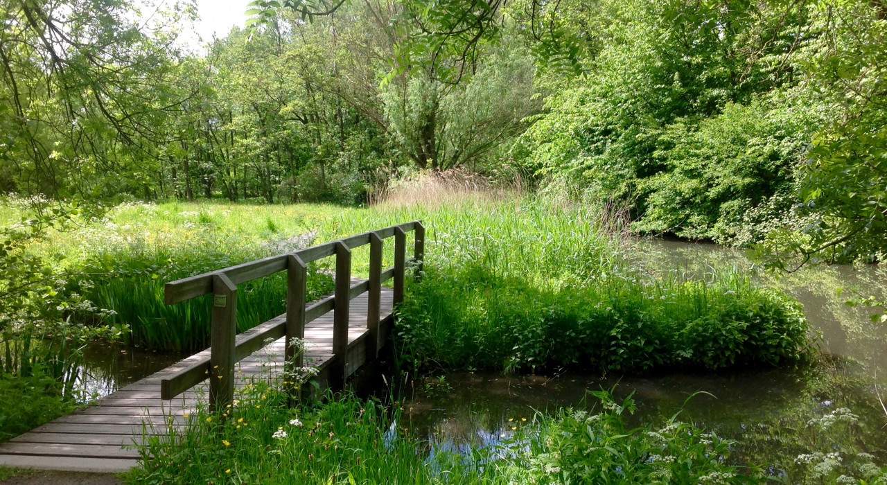 Natuurpark Bloeyendael - Vecht en Plassengebied