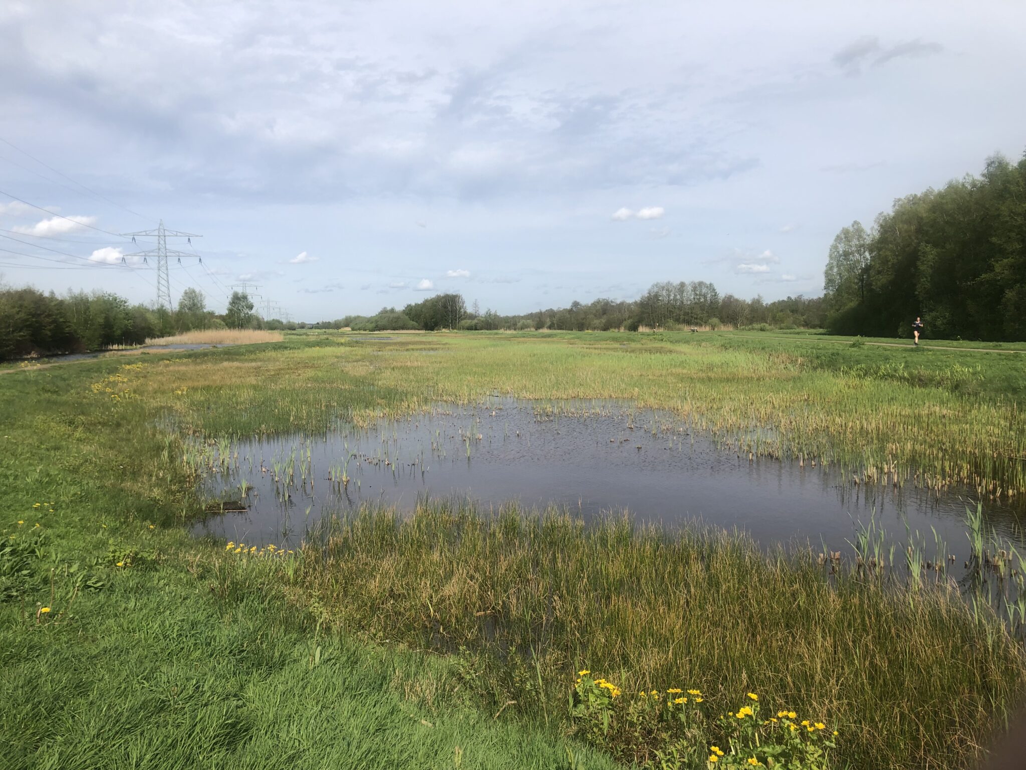 Ontdek het Noorderpark! - IVN