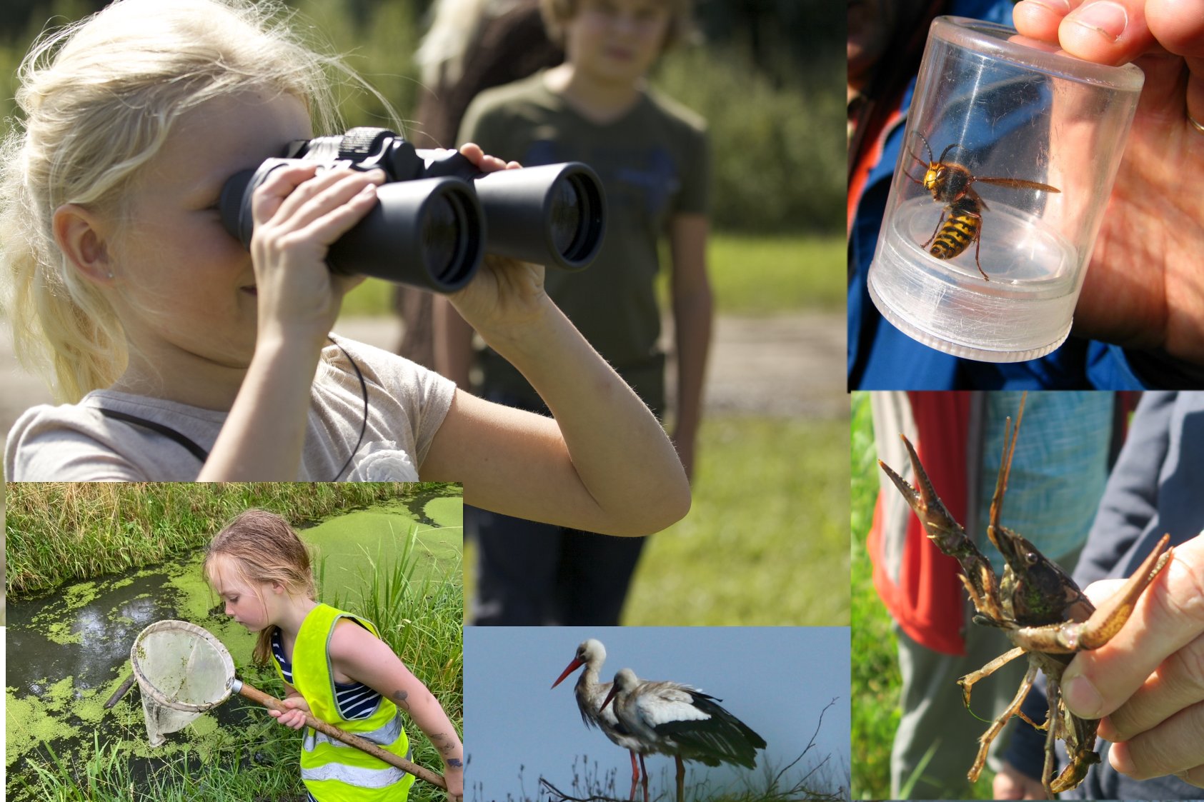 Kom langs bij het Natuurcafé van IVN en Museum Vredegoed - Vecht en ...