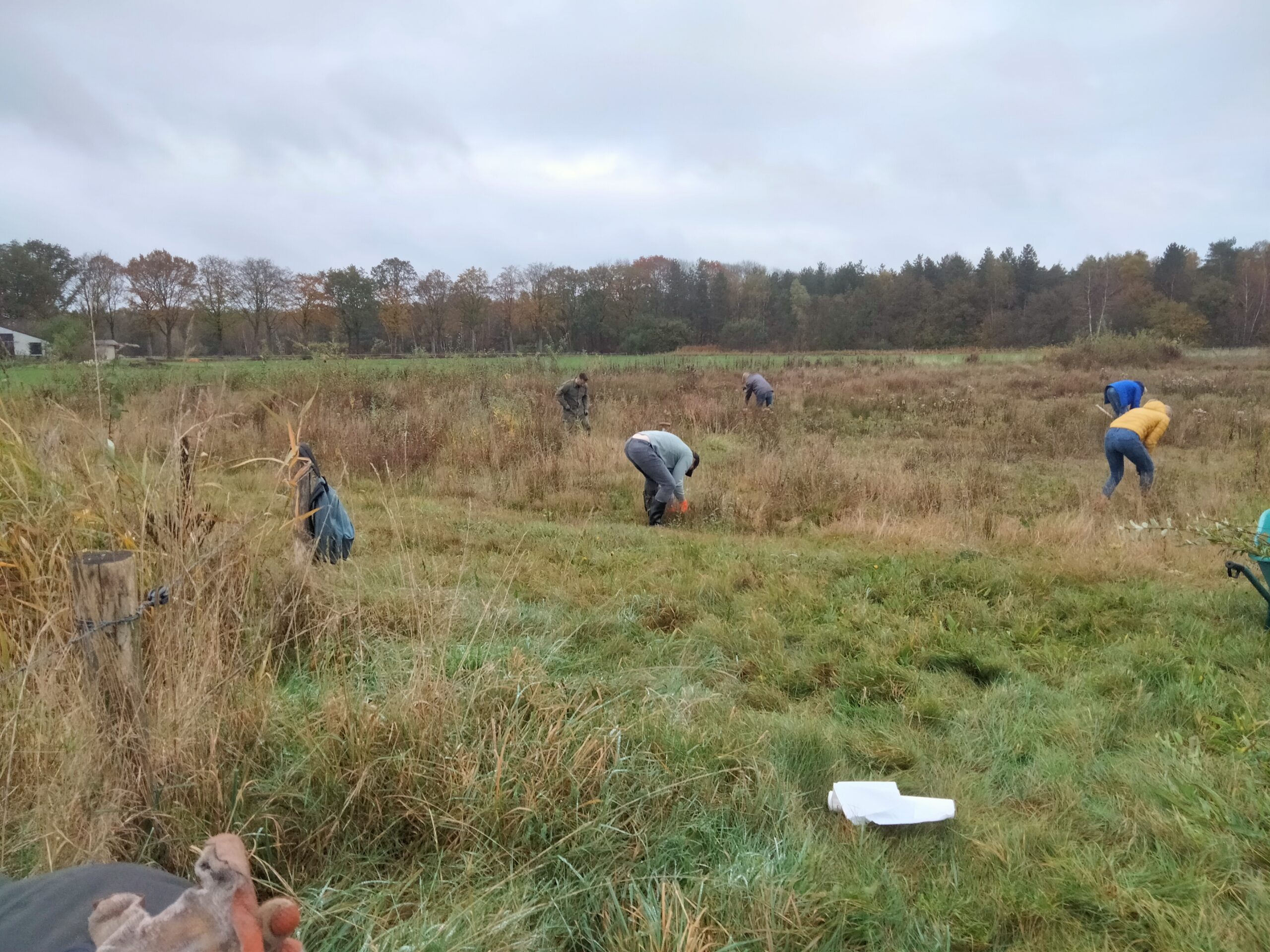 Oogst helpen sorteren en opbossen - IVN