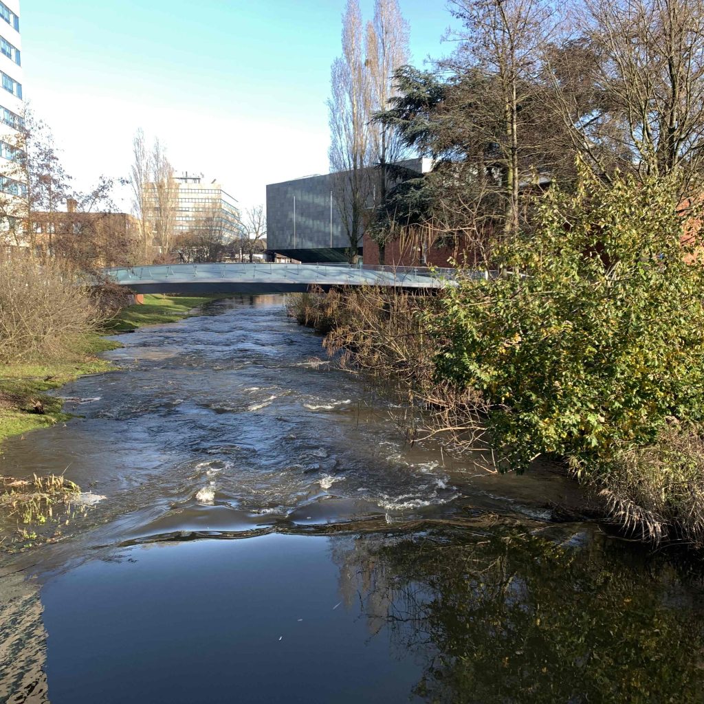 Dommel en Park - IVN
