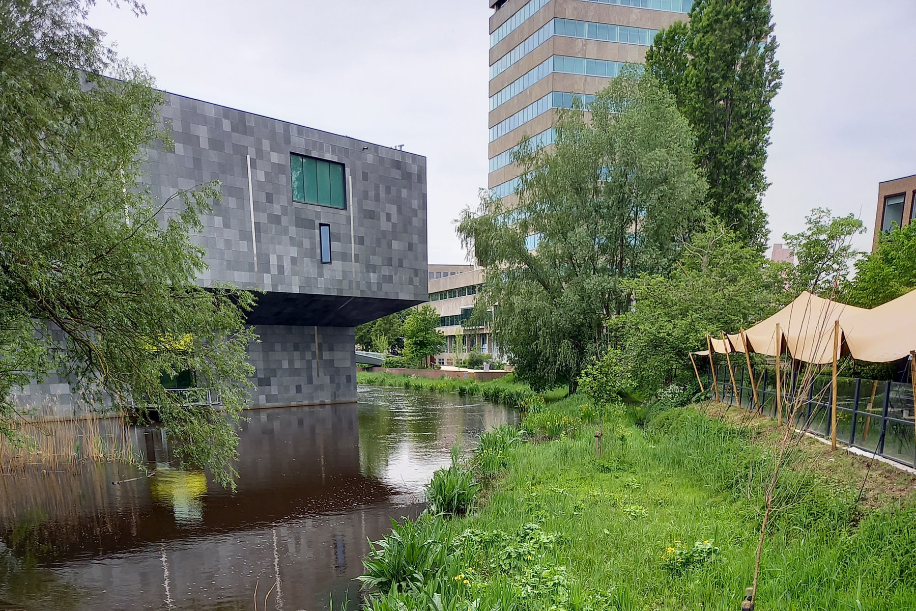 Wandeling langs de Dommel in Eindhoven - IVN