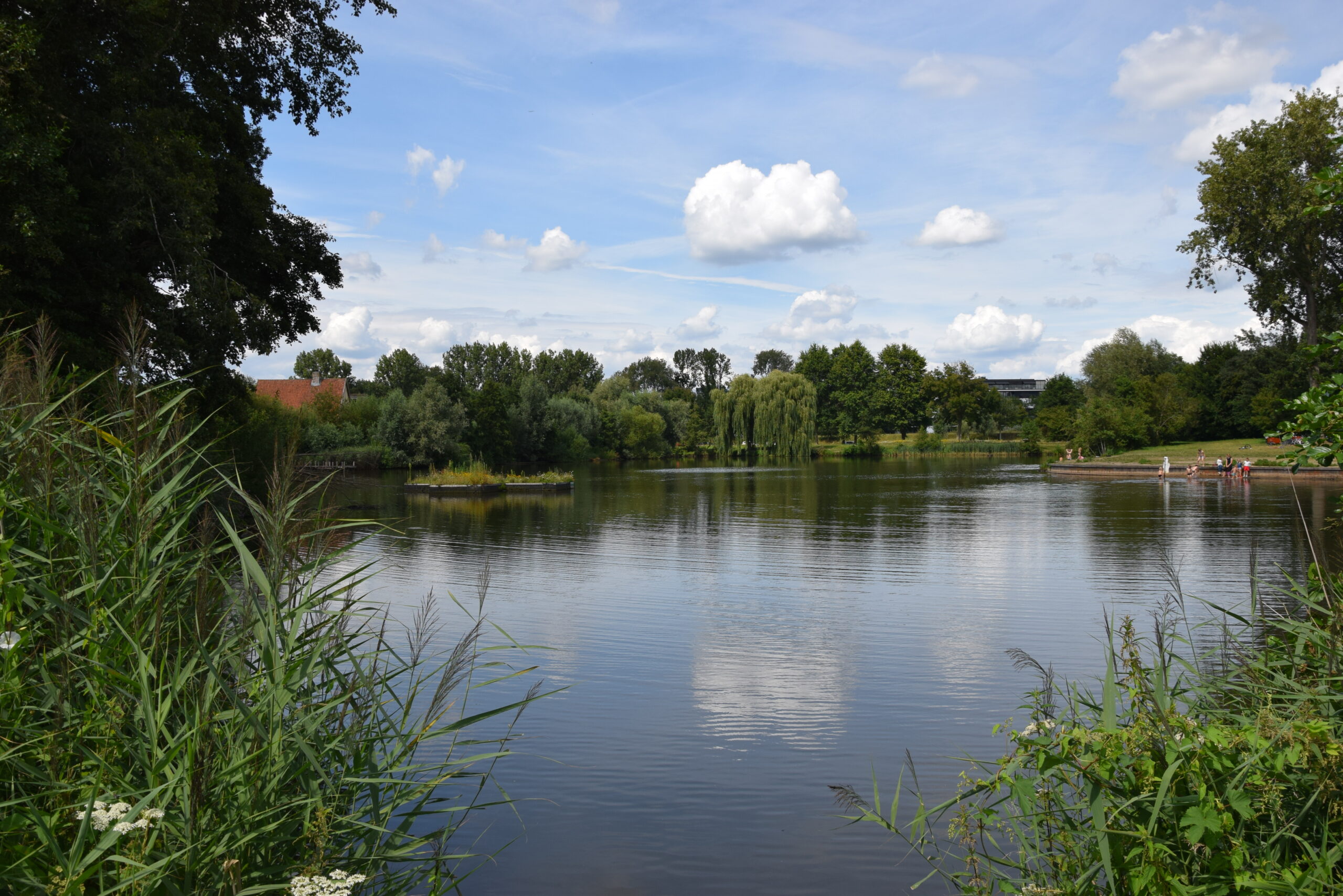 Wandeling in de Genneper Parken - IVN