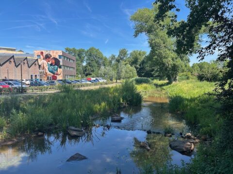 Excursie bij de Kleine Dommel - IVN