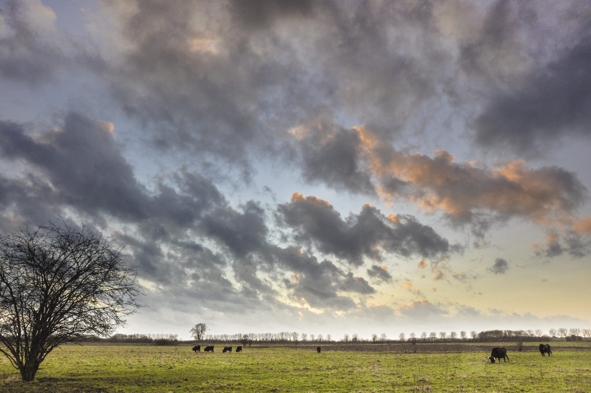 Wandeling door natuurgebied Keent - Grave
