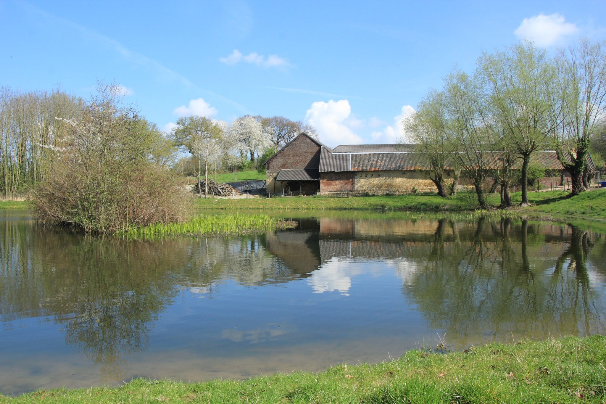 De Geleenbeek van bron tot monding, van mijnwatergoot tot natuurgebied ...