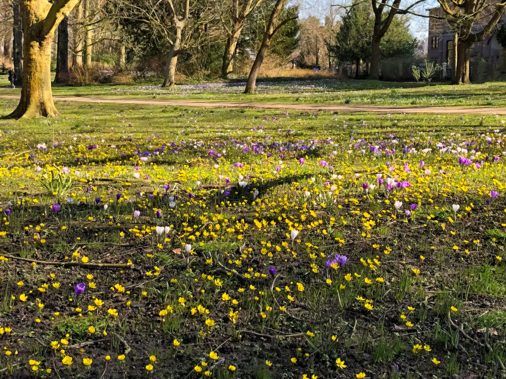 Stinsenplanten-wandeling Noorderplantsoen - Groningen Haren