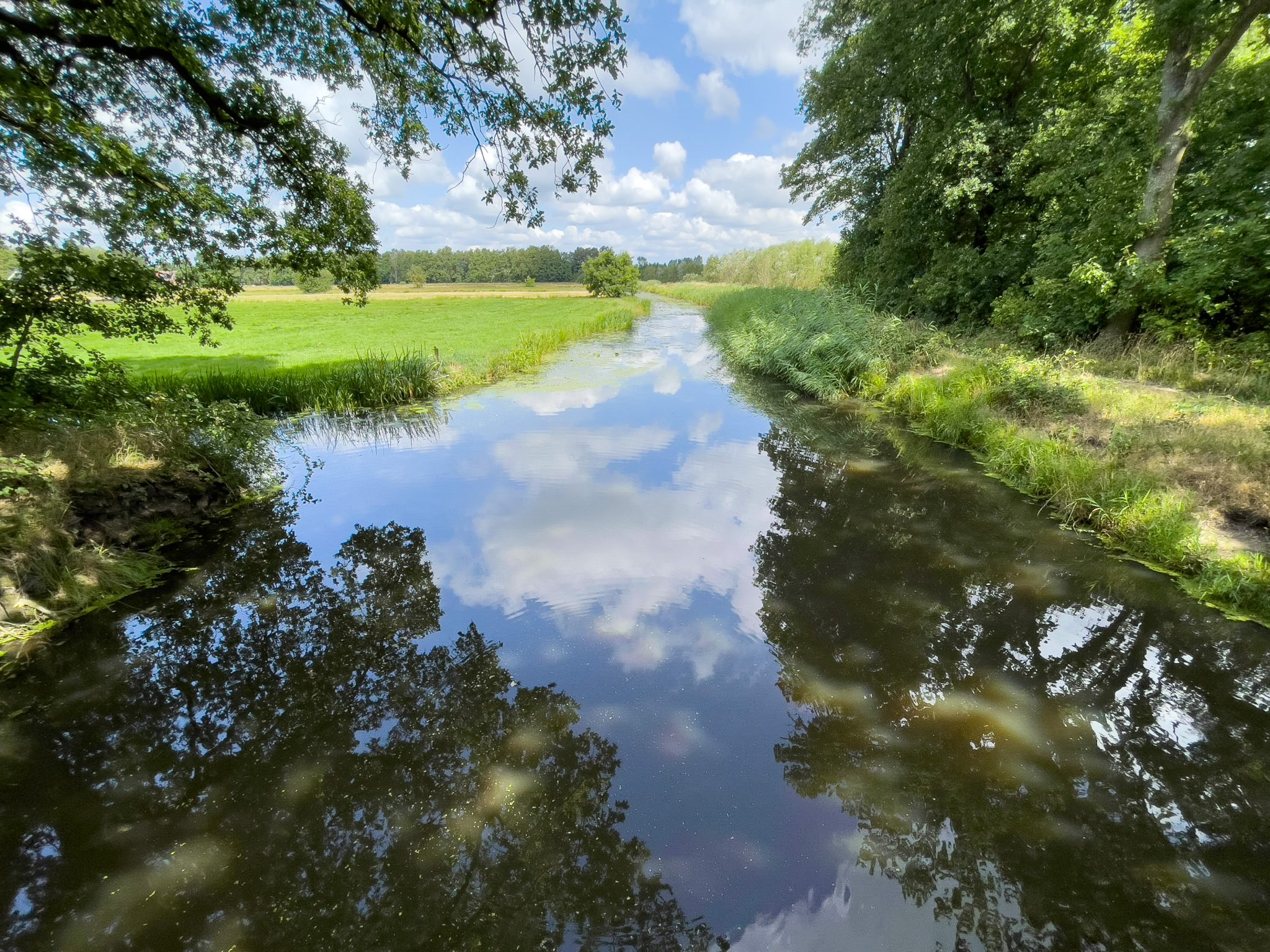Wandeling langs het Eelderdiepje, met de nadruk op waterplanten ... Wandeling langs het Eelderdiepje, met de nadruk op waterplanten ...